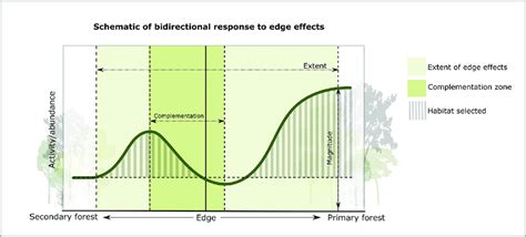 Schematic Of Bidirectional Response To Edge Effects A Theoretical