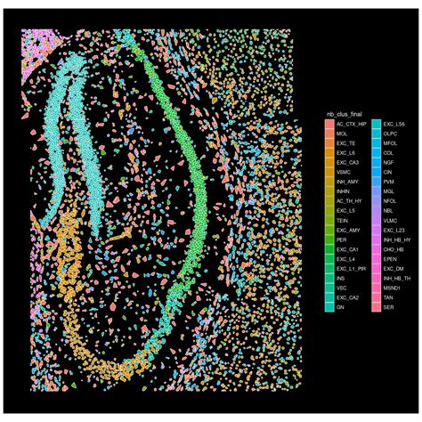 Creating An Anndata Object From Atomx™ Exported Results For Interactive