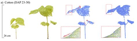 Plant4d Spatio Temporal Registration Of Plants Non Rigid 3 D Structures
