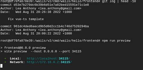Cannot Build Vue Ts Template Based Project · Issue 1796 · Wailsappwails · Github