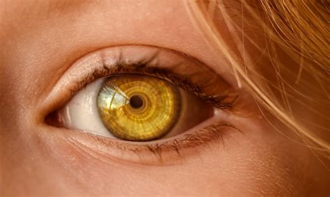 What Is Iris Recognition And How Does It Work PrivacySense Net
