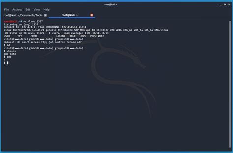 Hacking Applications With File Inclusion