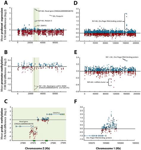 Gene Expression And DNA Methylation Differences Between Females F And Download Scientific