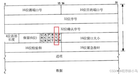 Tcp报文详解