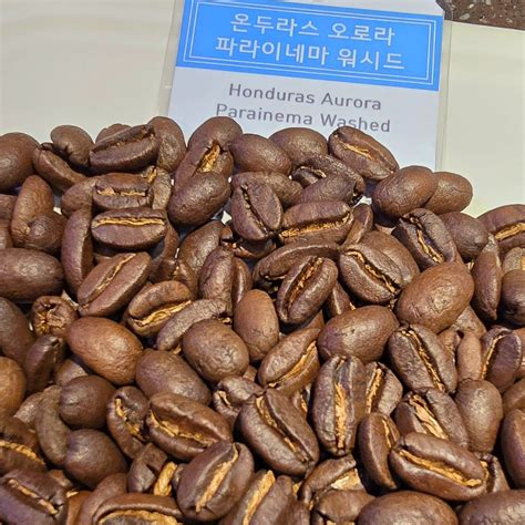해운대카페 원두판매 더치커피 버니빈 🌟 새로운 원두 소개 온두라스 오로라 파라이네마 🌟 안녕하세요 버니빈입니다 🙂 새롭게 입고된 특별한 원두를 소개해드릴게요