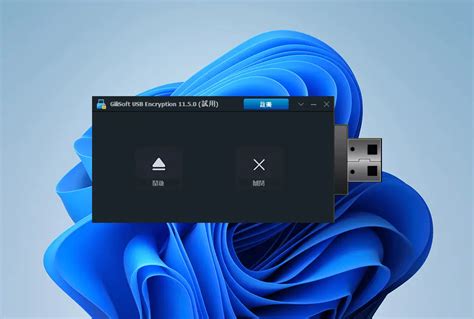 Gilisoft Usb Encryption 软件 官方授权正版软件平台