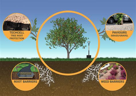 TREE PLANTING SEASON TCS GEOTECHNICS TREE PLANTING SEASON TCS GEOTECHNICS