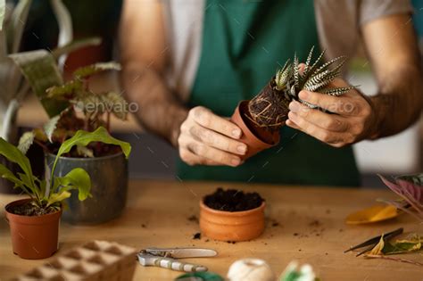 Examination Of Root Systems And Roots Stock Photo By StockRocketStudio
