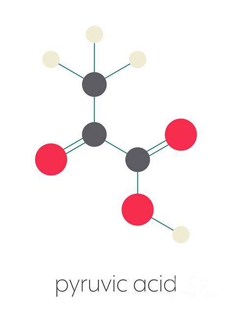 Pyruvic Acid Molecule Photograph By Molekuul Science Photo Library Fine Art America