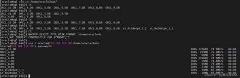 oracle dg总结 oracle dg csdn博客