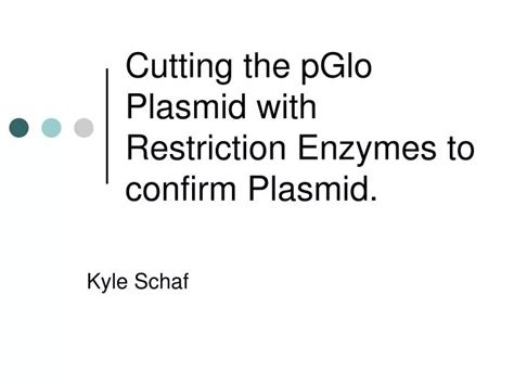 Ppt Cutting The Pglo Plasmid With Restriction Enzymes To Confirm