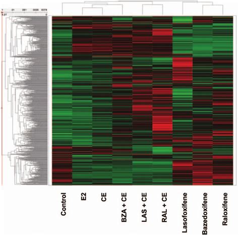Differential Global Gene Expression Profiles Of Estrogens Serms And
