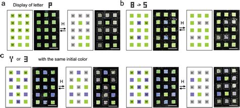 Data Encryption Schematic Illustration And Corresponding Photographs