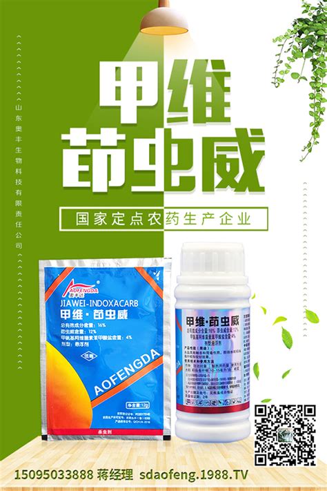 草地贪夜蛾来袭农户该如何防治北方玉米需重点防范 火爆农化招商网1988 TV
