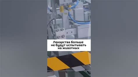 Испытания на животных Youtube