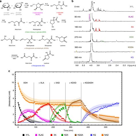 Combined Progress Curves With Single Enzyme Additions Conversion Of Download Scientific Diagram