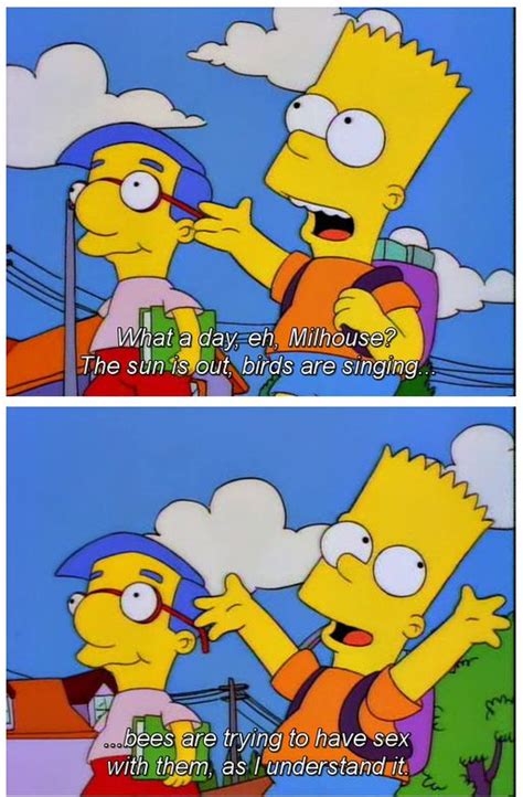 Database Simpsons Quotes