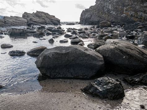 Wild Boar Roe Deer Detection Object Detection Dataset By Yolo11n Data