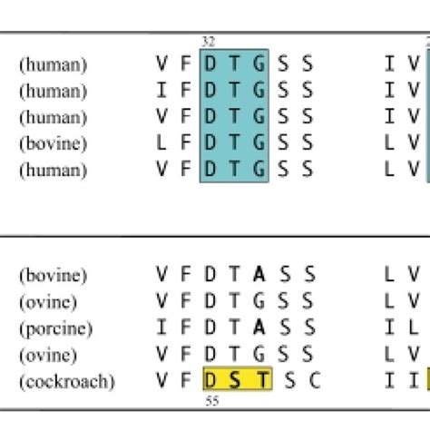Amino Acid Triads Involved In The Catalytic Site Of Active Aspartic Download Scientific Diagram