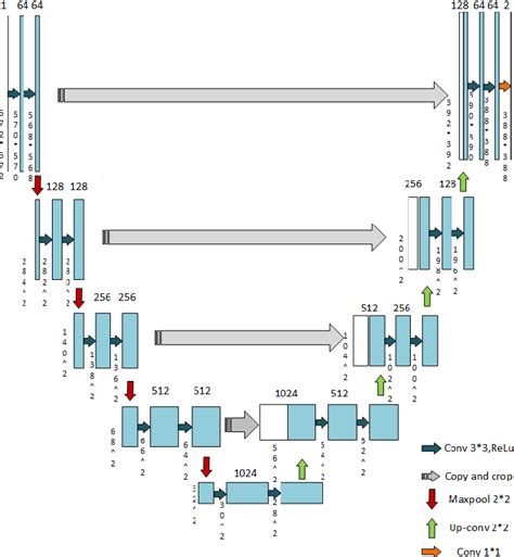 Figure 2 From Nn Transunet An Automatic Deep Learning Pipeline For Heart Mri Segmentation