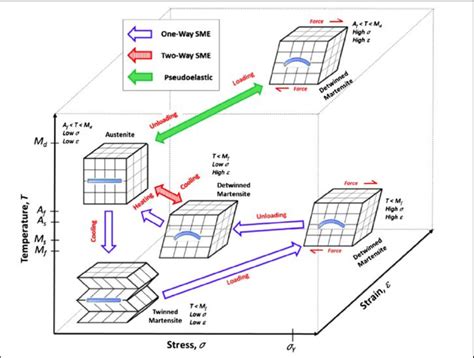 Crystal Structure And Phases Of Shape Memory Alloys Smas Download