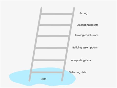 The Ladder Of Inference Leadcase