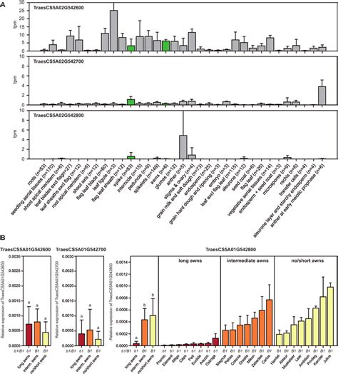 Expression Analysis Of Candidate Genes A Expression Of The Three Download Scientific Diagram