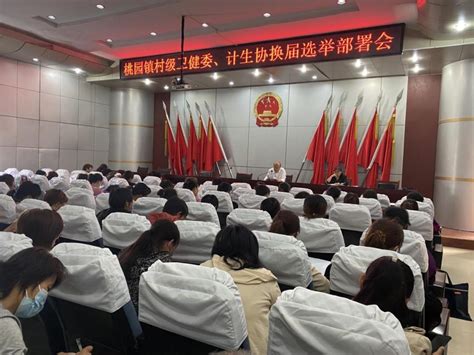 桃园镇召开村 居 卫健委计生协换届选举部署会 澎湃号政务 澎湃新闻 The Paper