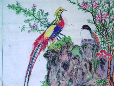 灶花图册360百科