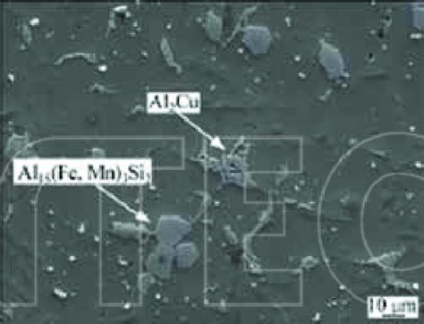 Sem Image Showing Main Intermetallic Phases In Microstructure [17] Download Scientific Diagram