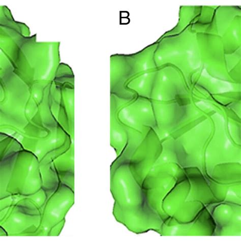 Binding Pocket Interaction A Keap1 Interaction B Nmda Download Scientific Diagram
