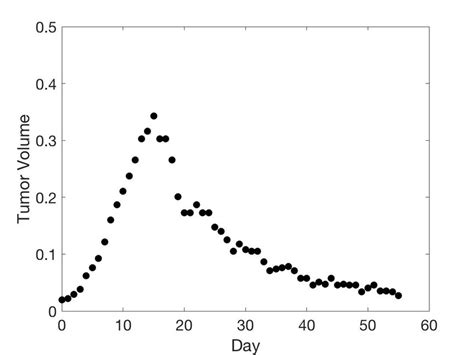 High Fidelity Synthetic Data Of Tumor Volume Trajectory Subject To