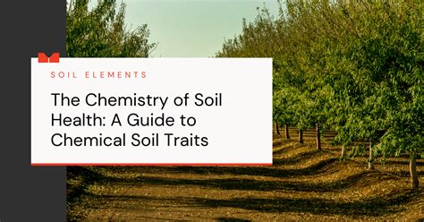 Chemical Soil Traits For Healthy Soil MyLand