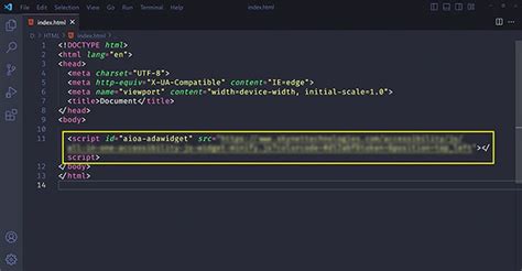 Html Css Accessibility Widget Installation All In One Accessibility