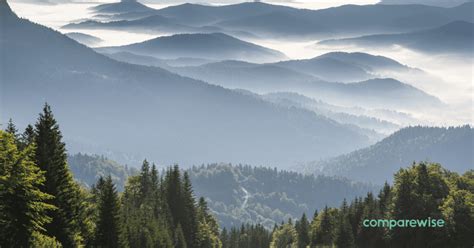 How To Find An Rbc Routing Number Comparewise