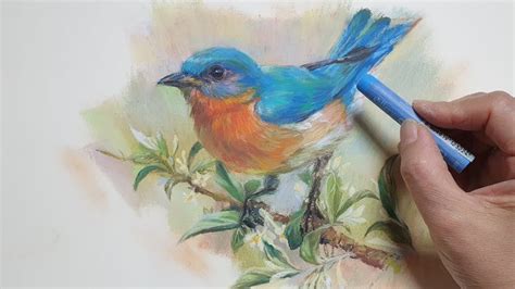 Oilpastel 새 그리기 형태 그리는 법에서 완성까지 꿀팁공개 Youtube