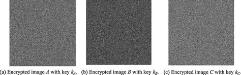 Encrypted Images With Slightly Different Keys Using A Cyclic Shift In Download Scientific