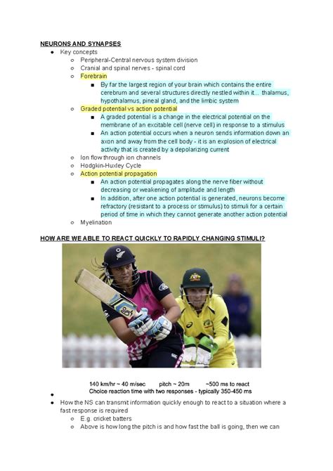 Psyc211 Lect 1 First Lecture Notes Neurons And Synapses Key Concepts Peripheral Central