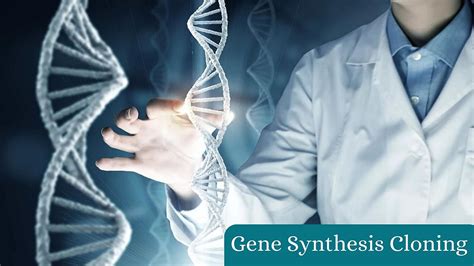 Top 3 Benefits Of Gene Synthesis And Cloning Service