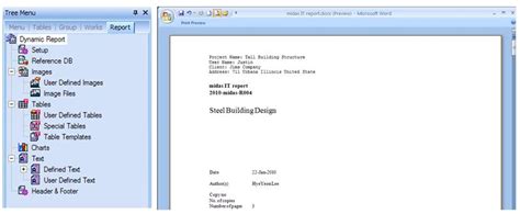 Dynamic Report