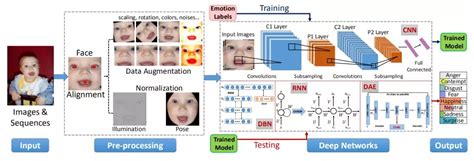 表情识别全面综述 CSDN博客