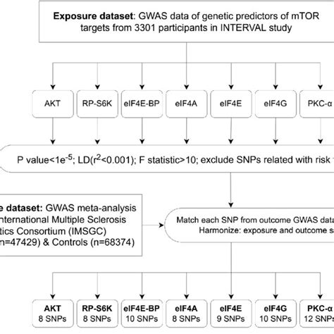Flow Diagram Of The Selection Of Single Nucleotide Polymorphism Snp Download Scientific