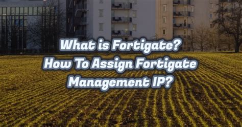What Is Fortigate How To Assign Fortigate Management Ip Systemconf