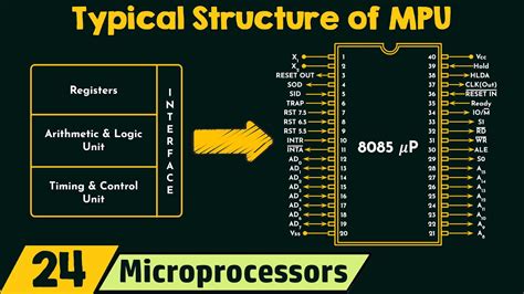 Typical Structure Of Microprocessor Unit Mpu Youtube