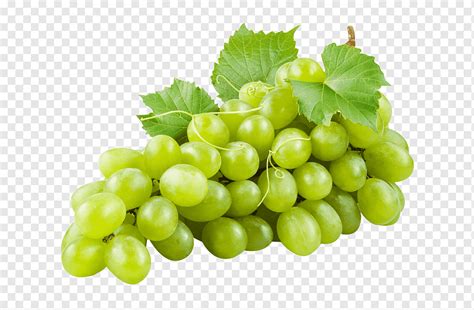 Картинки Белого Винограда – Telegraph