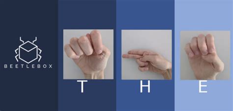 Sign Language Recognition Hand Object Detection Using R Cnn And Yolo