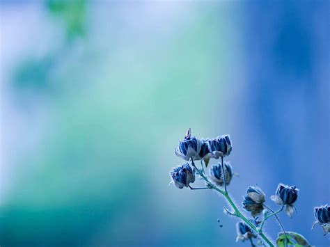 Wallpapers Kosong Wallpaper Cave