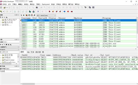 Plsql Developer 如何查看oracle的session会话 小小邪 博客园