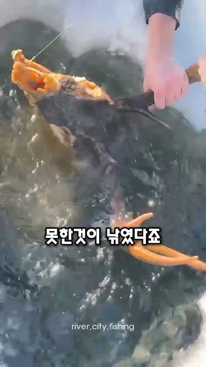 얼음 밑이 위험한 이유 Youtube