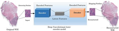 A Block Representation Showing The Steps For Obtaining Low‐dimensional Download Scientific